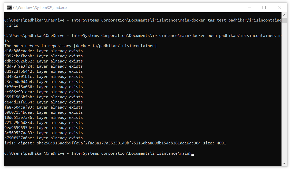 容器中的 Intersystems Iris Intersystems Developer Community Docker 